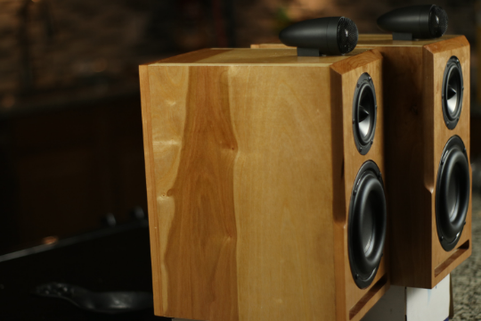 download (3) – Toid