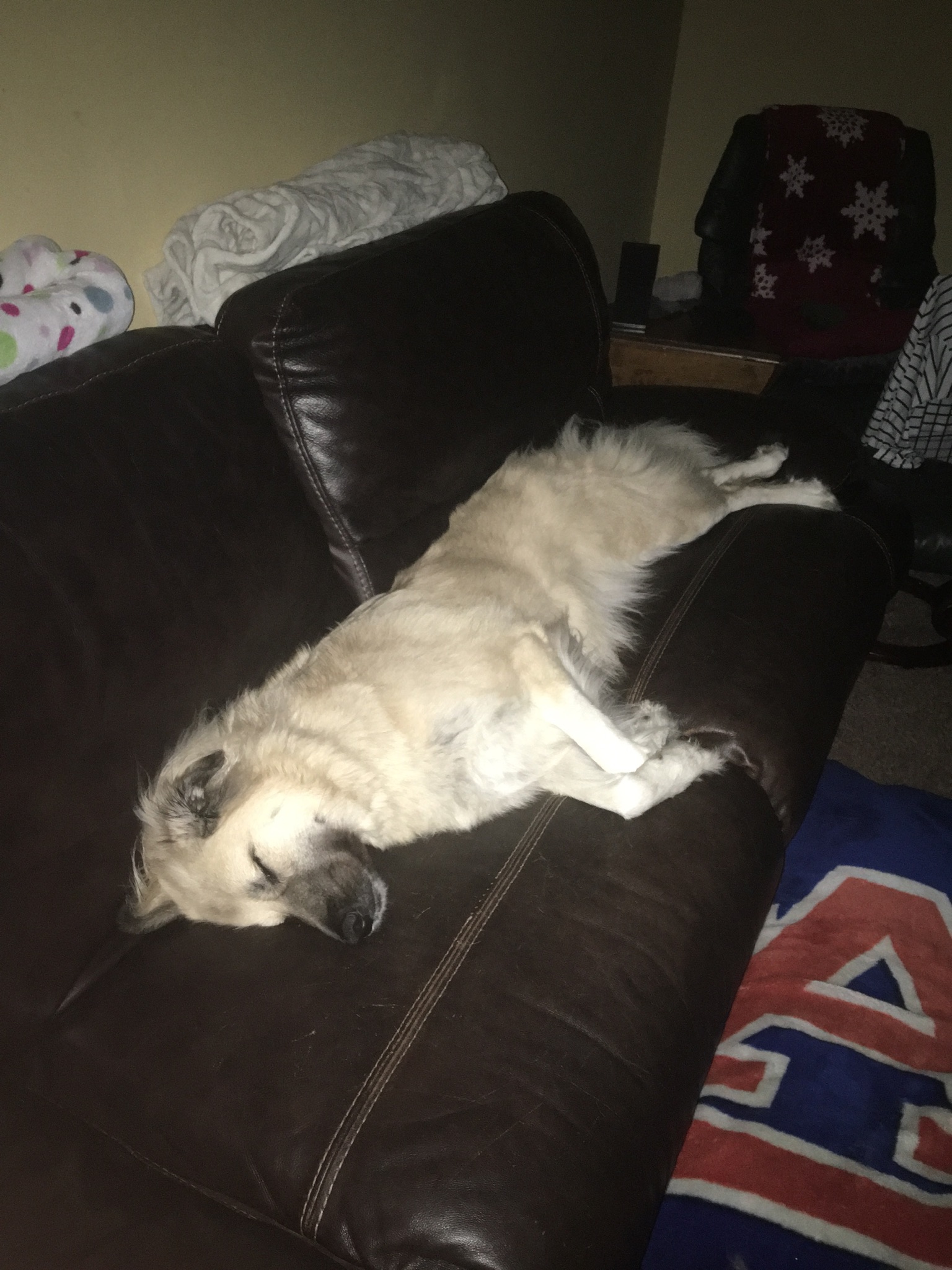 AF751267-CE6E-4A0A-A4E4-877D4534040C – Toid