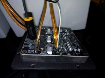 2593-IMG20210828205148 – Toid